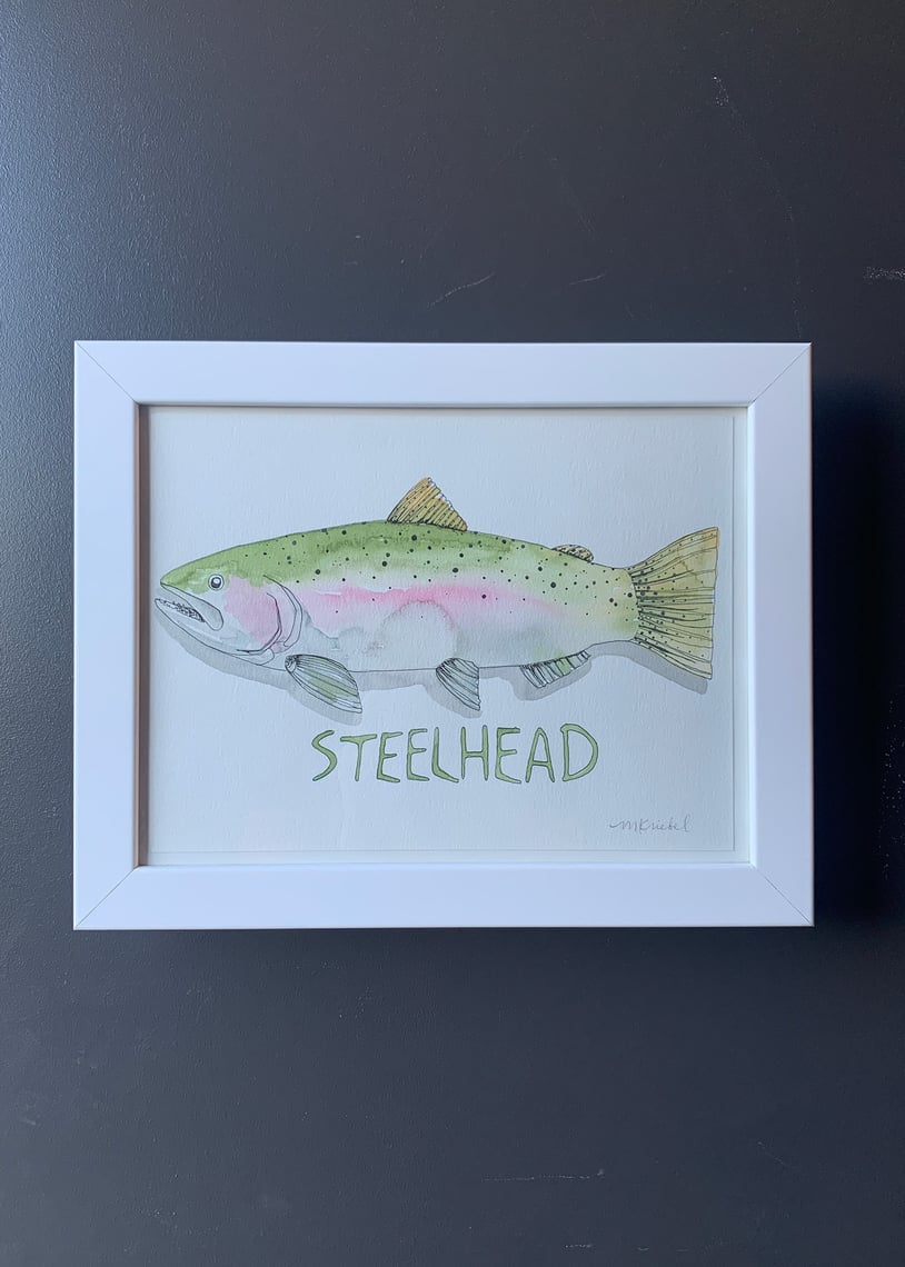 Steelhead Fish Original Watercolor Painting | Marcella Kriebel Art ...