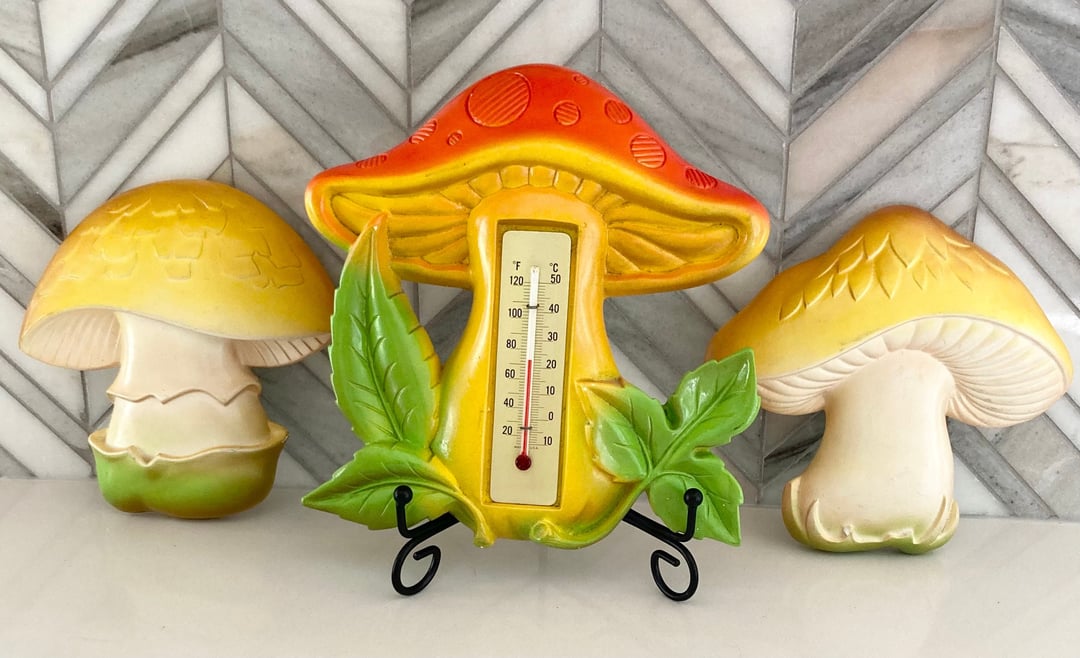 Vintage Miller Studio Chalkware Mushroom Thermometer Set, Mushrooms ...