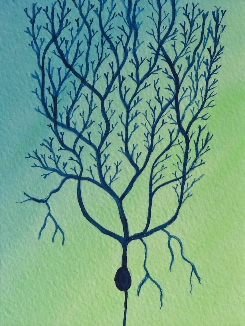 Vintage-style Purkinje Cell - original watercolor painting of neuron ...