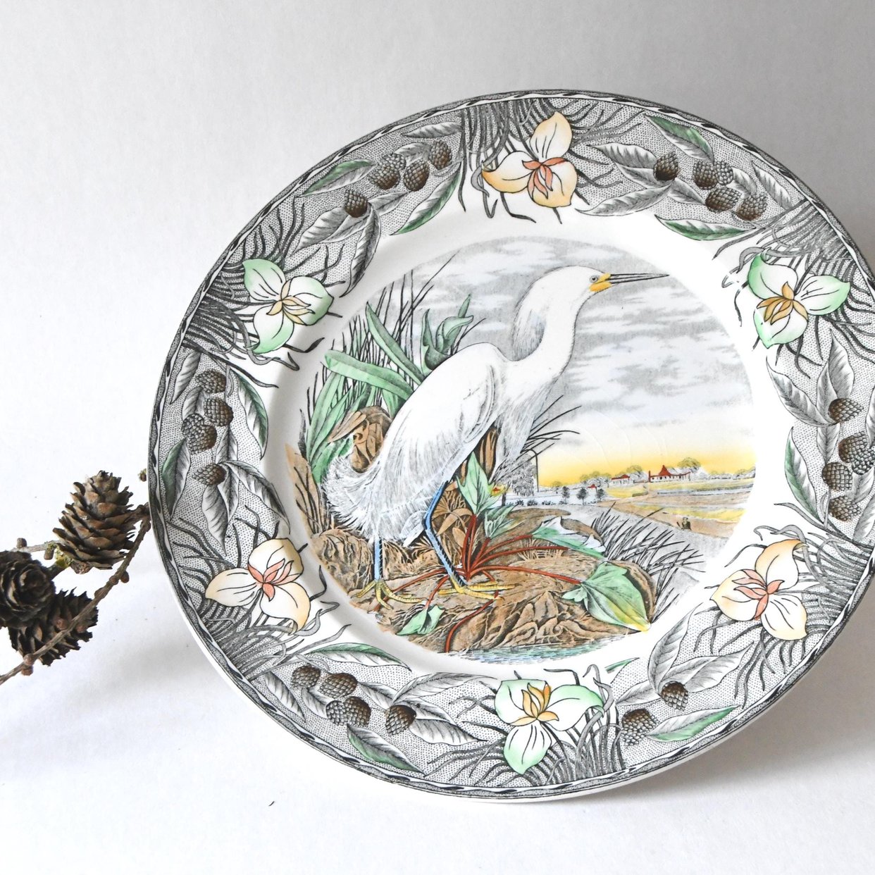 Adams Plate. Birds of America by John James | Happy Moose Vintage ...