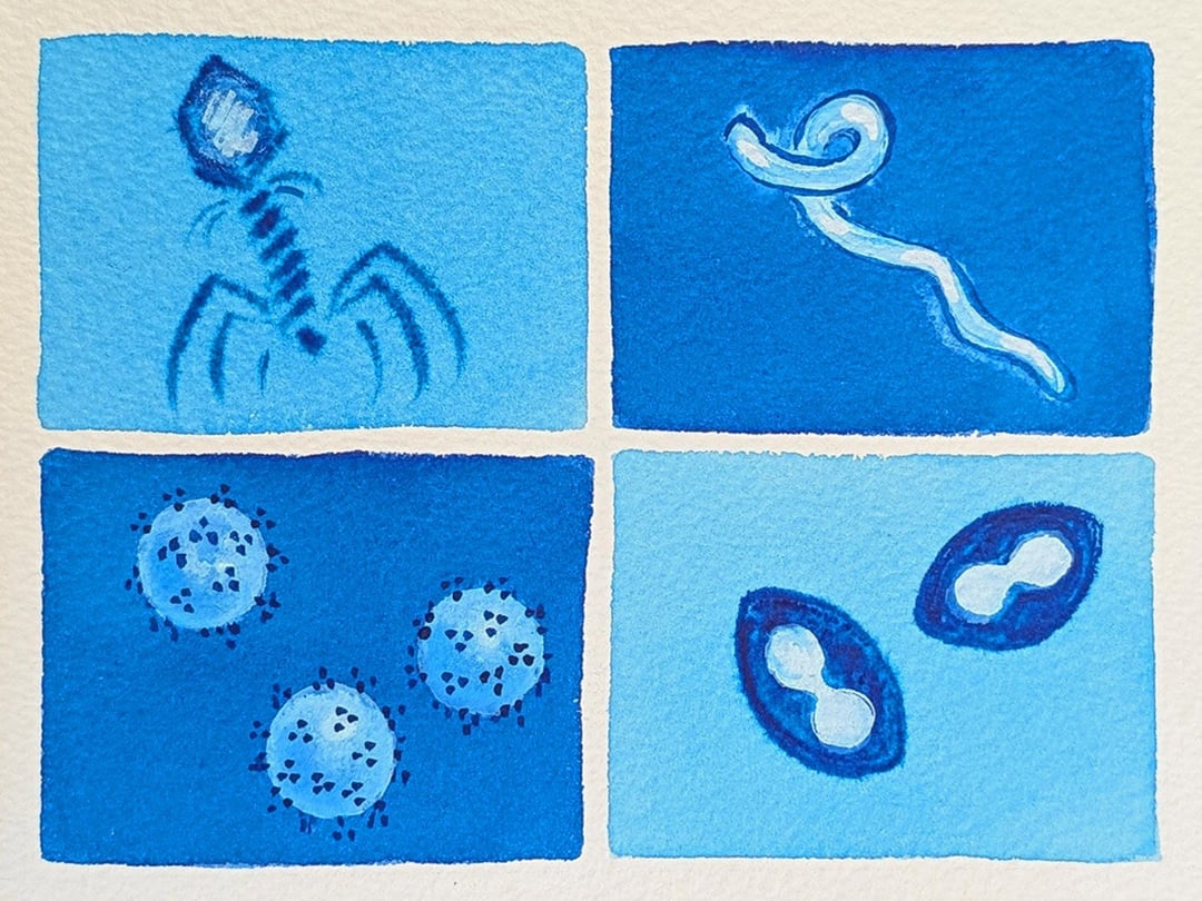 Blue Viruses - original watercolor painting - microbiology art ...