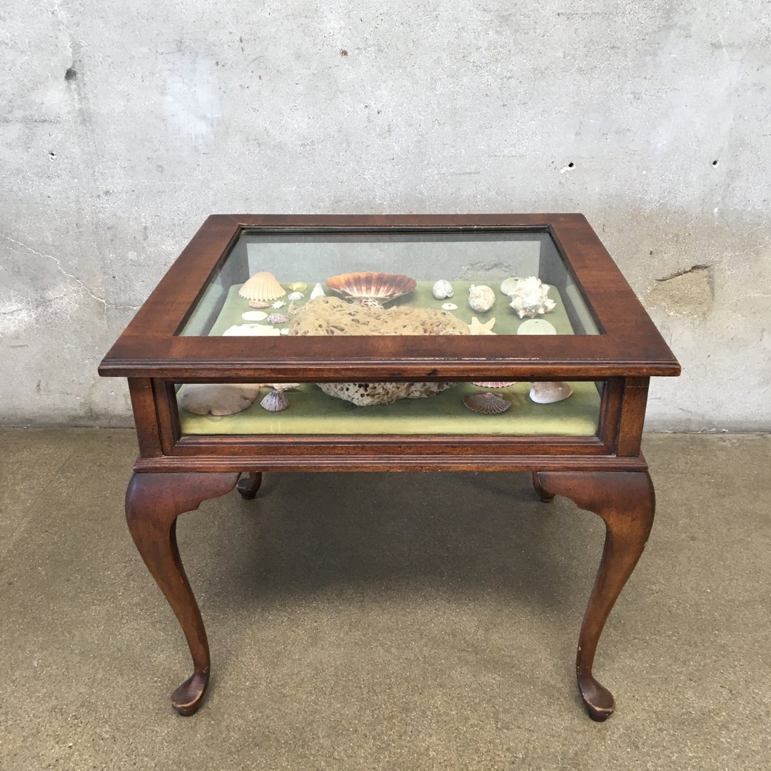 Vintage Queen Anne Curio Table w/Seashell Collection | Urban Americana ...