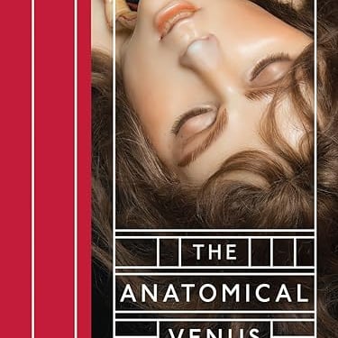 The Anatomical Venus | National Museum of Women in the Arts | Washington, DC