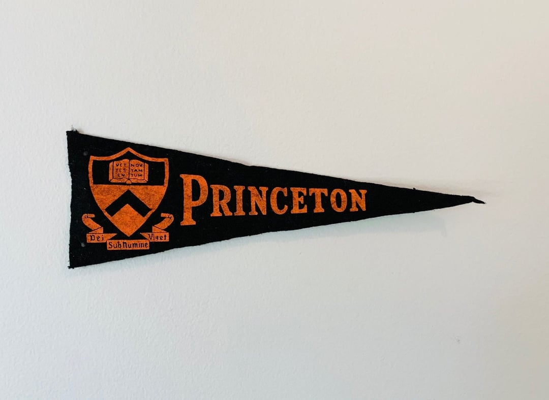 Vintage Princeton University Mini Pennant | Delve Chicago | Chicago, IL