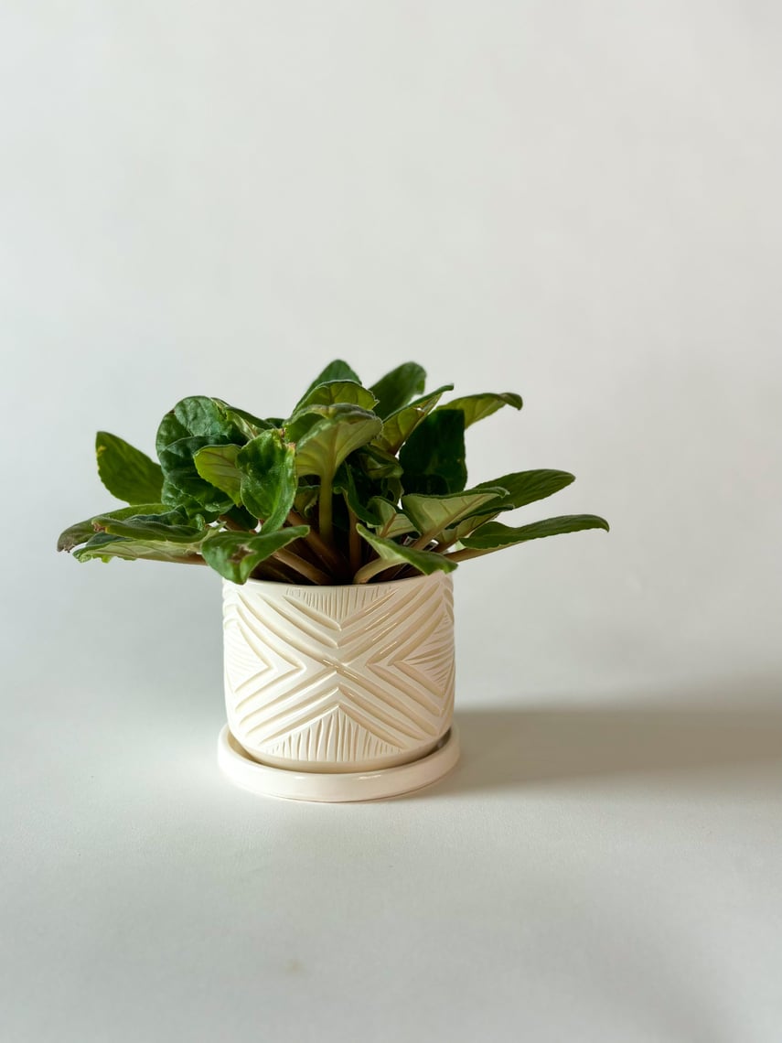 Small Zulu Alabaster Planter w/ Plate | SampleHAUS | Los Angeles, CA