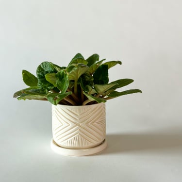 Small Zulu Alabaster Planter w/ Plate | SampleHAUS | Los Angeles, CA