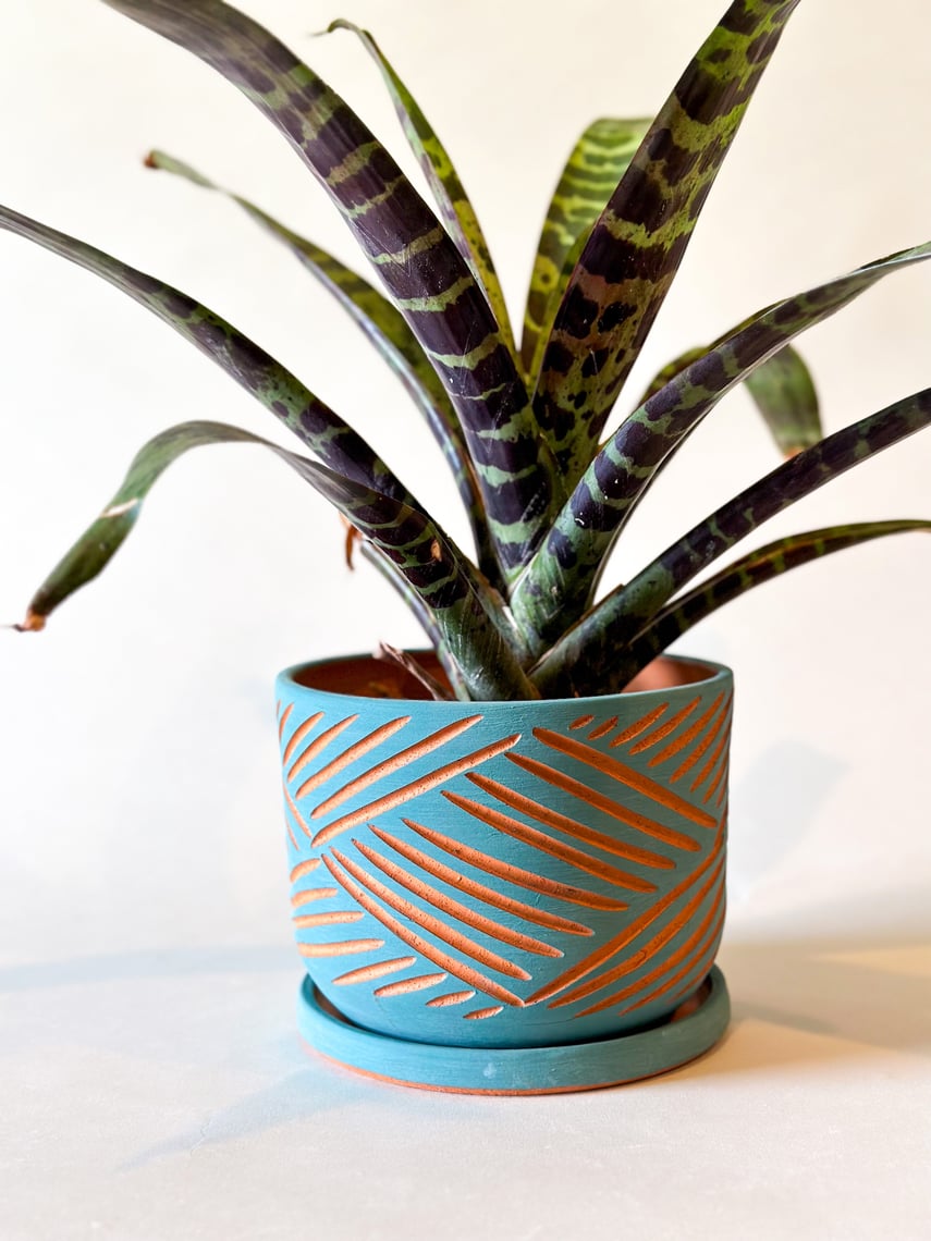 Medium Zulu Midnight Cyan Planters w/ Drainage - Terra Cotta ...