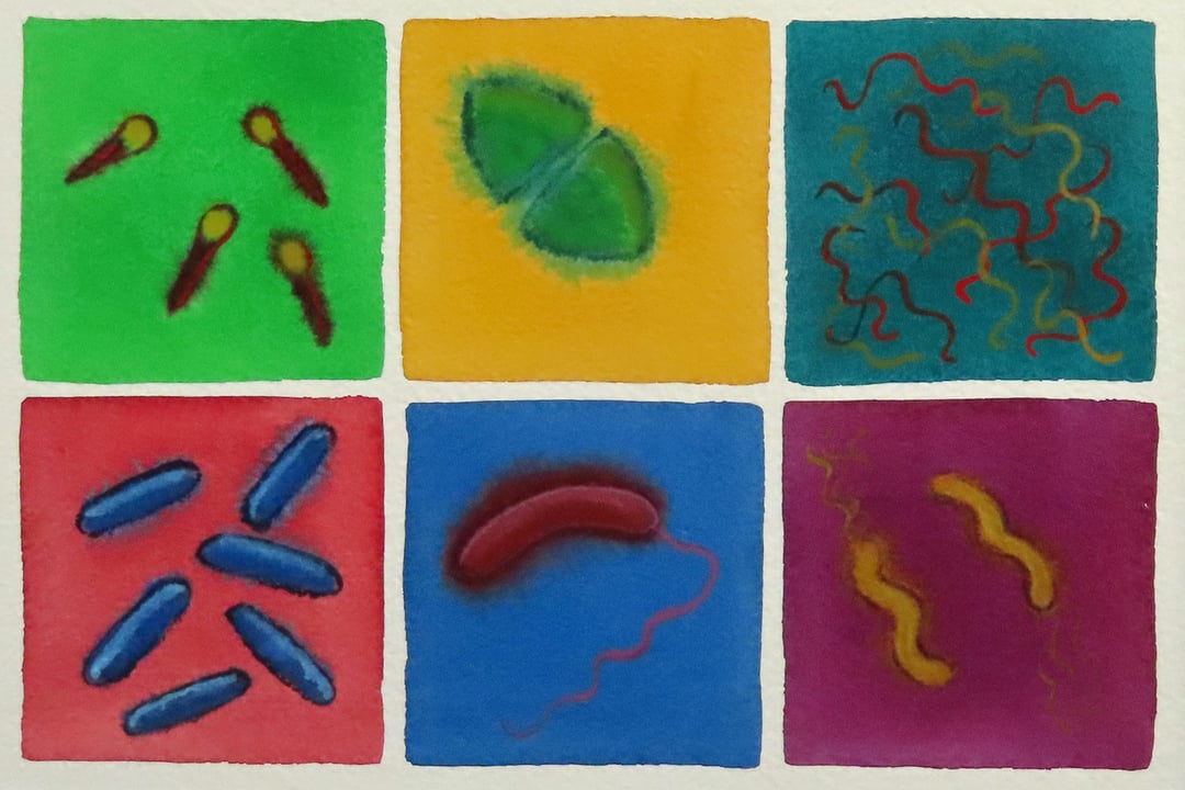 Deep Microbes - original watercolor painting - bacteria - microbiology ...