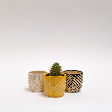 Mini Cachepot Planter/ Espresso Cup - Made to Order | SampleHAUS | Los ...