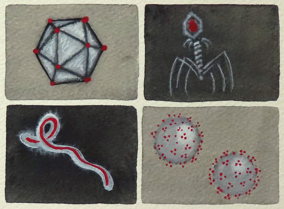 Viruses in Black, White and Red - original watercolor painting ...